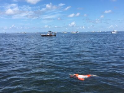2025 Scalloping in Florida - The Complete Guide & Maps!