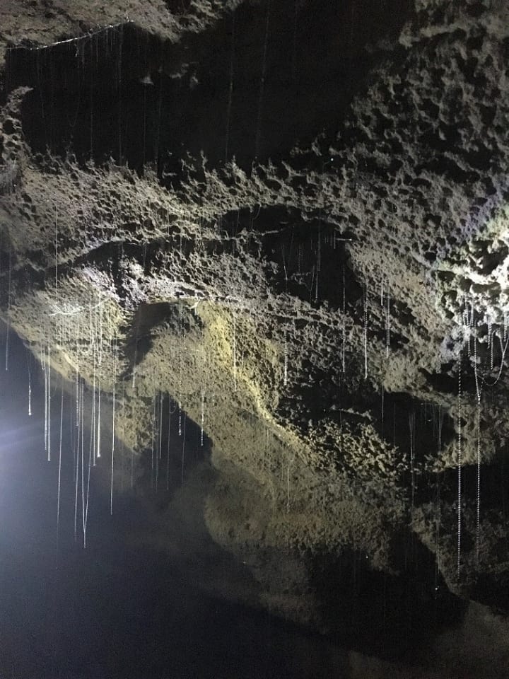 The Waitomo Caves Of New Zealand - 10 Reasons To Enjoy Them - Brit On ...