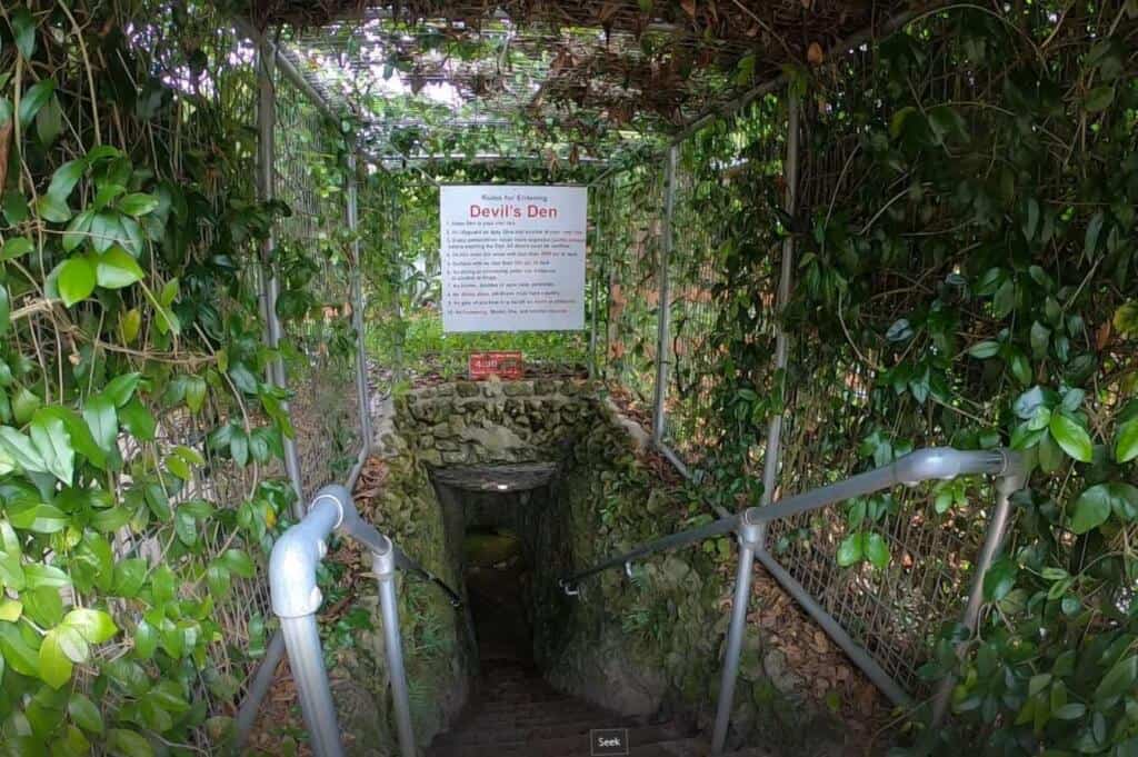 The Devil’s Den Florida - A Prehistoric Spring