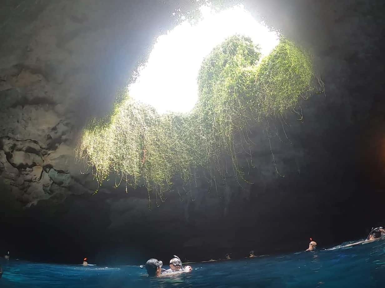 The Devils Den Spring - The Prehistoric Spring for Snorkeling and Diving