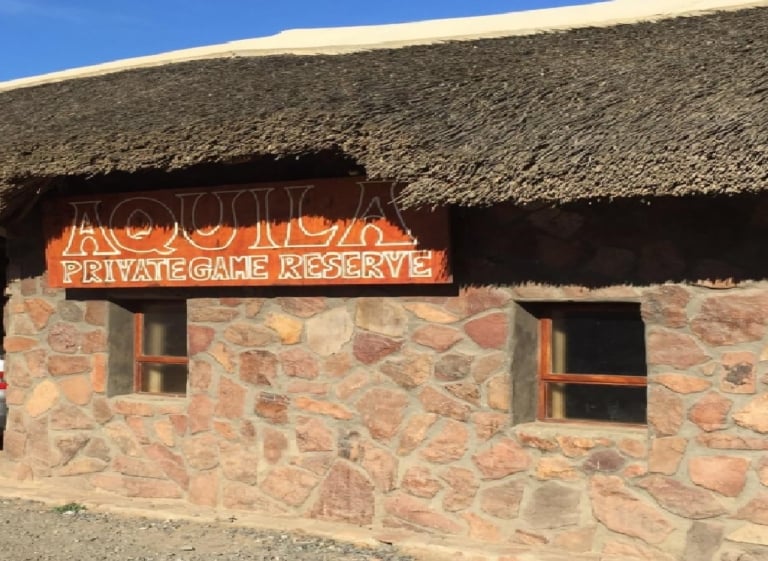 Cape Town Safari - South Africa