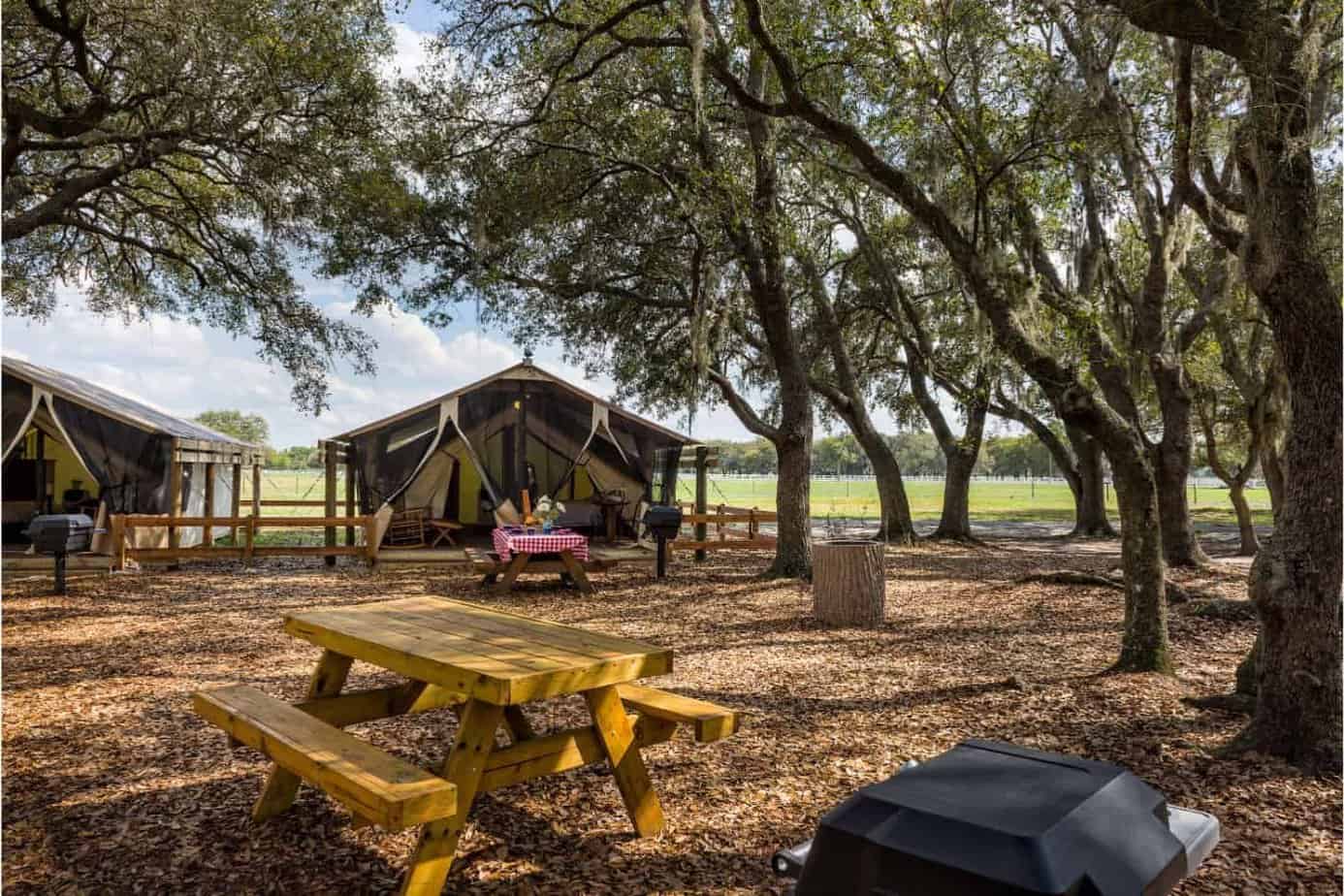 Westgate River Ranch Resort and Rodeo - Florida's Best Rodeo