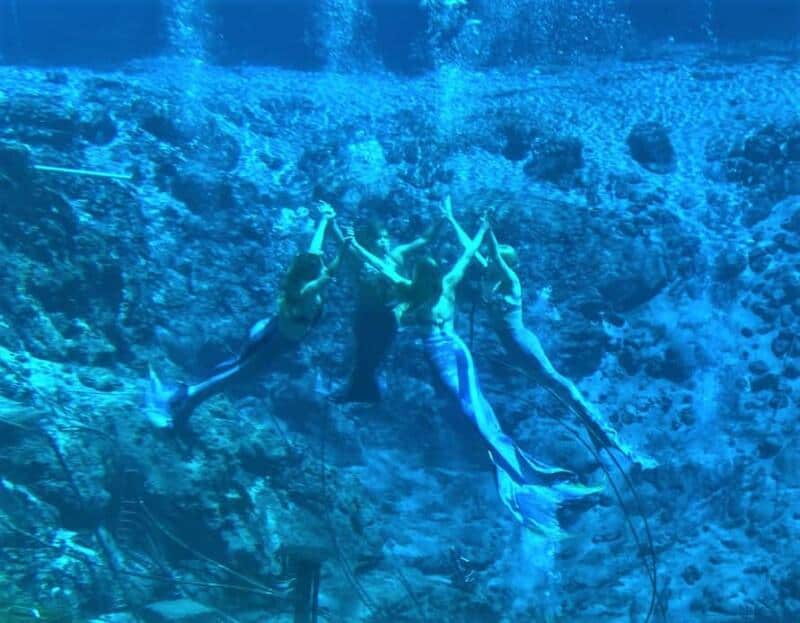 Mermaids Of Weeki Wachee Springs - An Extraordinary Show Only In ...