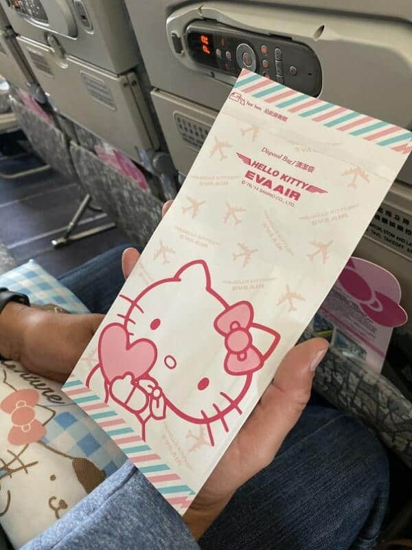 The Hello Kitty Flight - What To Expect