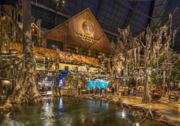 Big Cypress Lodge – The Bass Pro Shop Resort - Memphis - Brit On The Move™