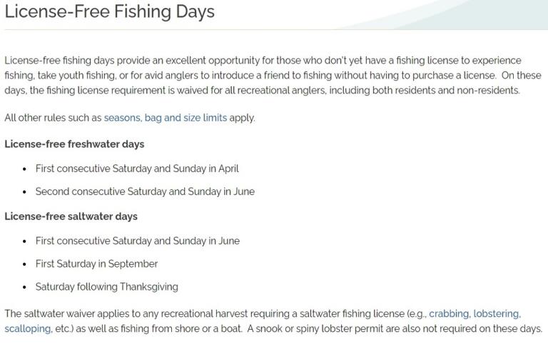 Everything You Need To Know About Florida Fishing Licenses - Brit On ...