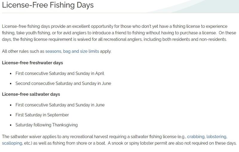 Everything You Need To Know About Florida Fishing Licenses - Brit On ...