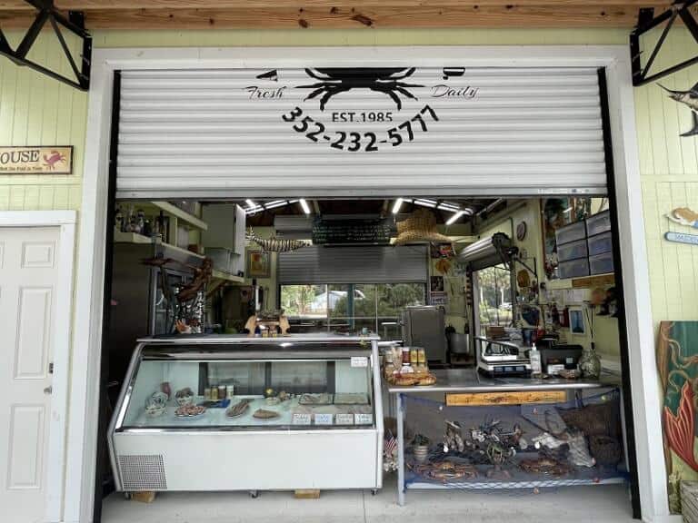 Aripeka Florida - The Little Fishing Town You Should Visit - Brit On ...