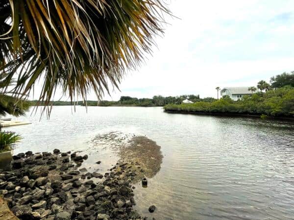 Aripeka Florida - The Little Fishing Town You Should Visit - Brit On ...
