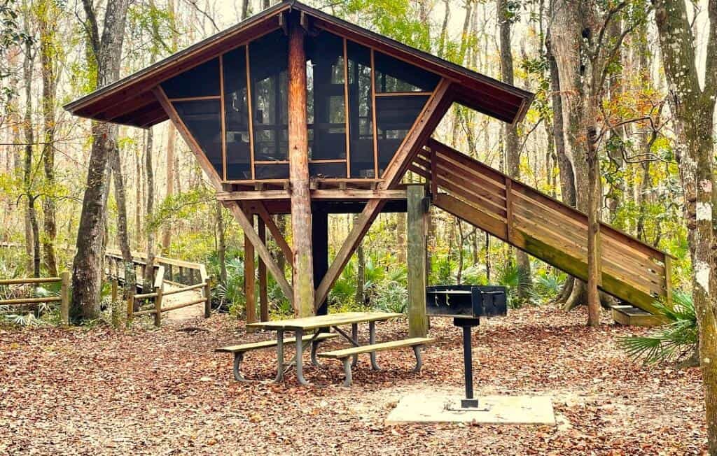 Florida’s Best Treehouse Rental