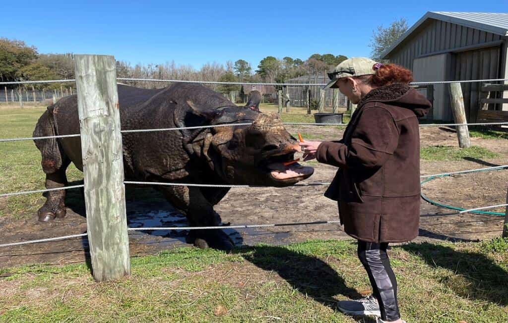 Carson Springs Wildlife Conservation Foundation - Brit On The Move™