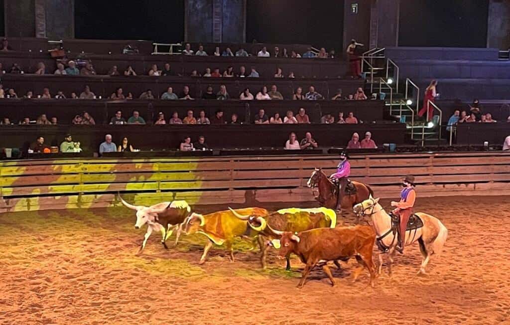 Dixie Stampede Dinner Show - Why This Is An Amazing Show - Brit On The ...
