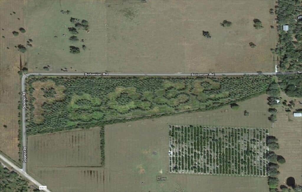 Solomons Castle Ona, Florida - Why Visit? - Brit On The Move™