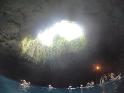 The Devils Den Spring - The Prehistoric Spring for Snorkeling and Diving