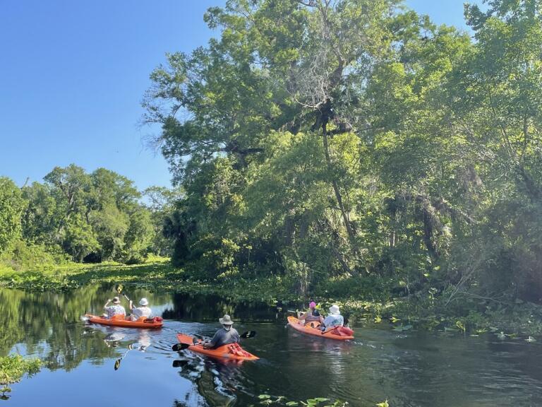 Kings Landing, Florida, And The Legendary Emerald Cut - Brit On The Move™