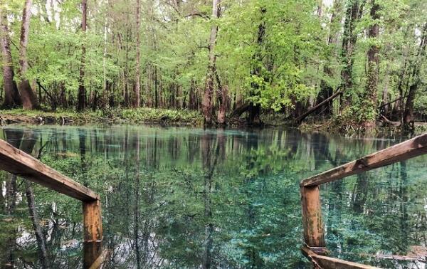 The Native's Guide To Blue Spring In Florida - Brit On The Move™