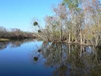 Geneva Florida - The Ultimate Guide - Brit On The Move™