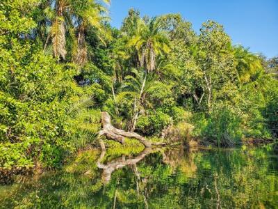 10 Rivers Of Florida Worth Exploring - Brit On The Move™