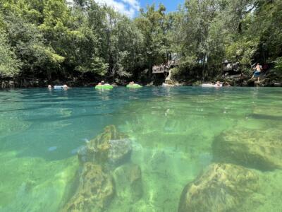 Royal Springs - Suwannee County's Hidden Gem - Brit On The Move™