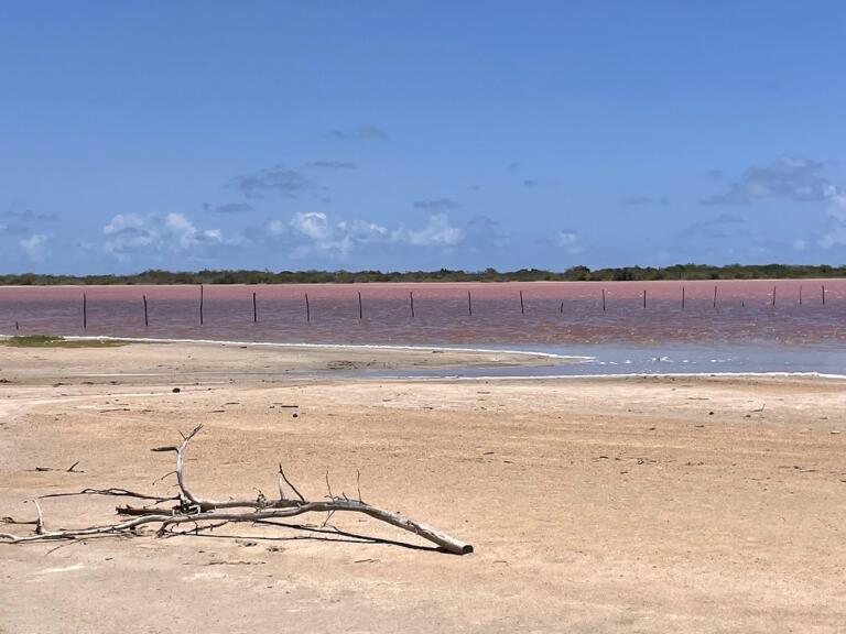 The Salt Flats Of Puerto Rico - Cabo Rojo, Las Salinas - Brit On The Move™