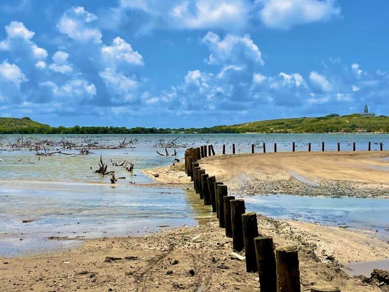 The Salt Flats Of Puerto Rico - Cabo Rojo, Las Salinas - Brit On The Move™