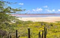 The Salt Flats Of Puerto Rico - Cabo Rojo, Las Salinas - Brit On The Move™