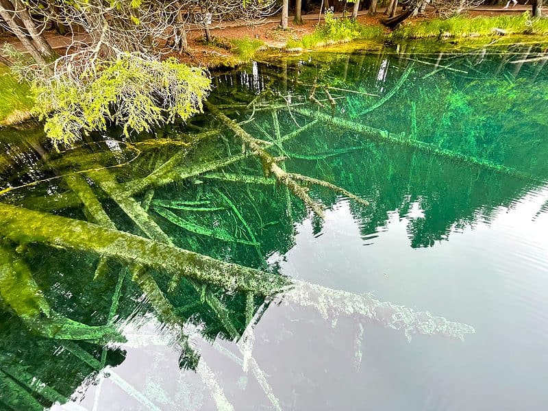 Kitch-iti-kipi - Big Spring in Michigan