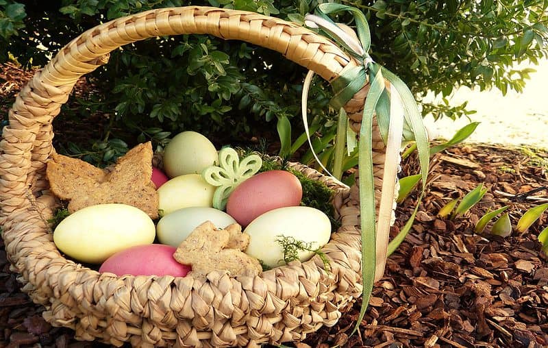 Easter In Florida - The 2023 Guide Of Things To Do