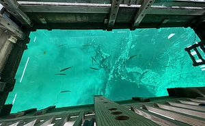 Kitch-iti-kipi - Big Spring in Michigan