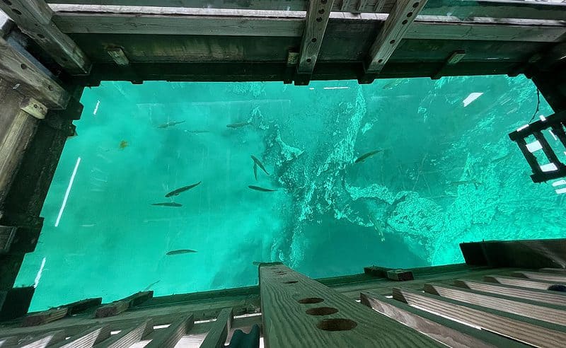 Kitch-iti-kipi - Big Spring in Michigan