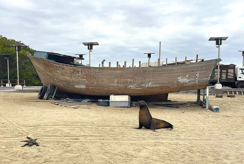 15 Reasons To Visit Quito, Ecuador - Now!