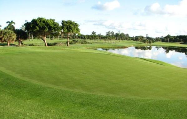 The Top South Florida Golf Courses: Everglade Golf Adventures