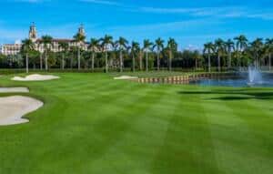 The Top South Florida Golf Courses: Everglade Golf Adventures