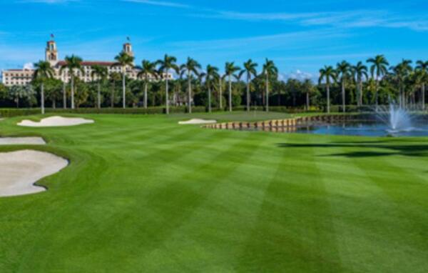 The Top South Florida Golf Courses: Everglade Golf Adventures
