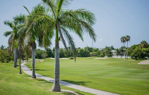 The Top South Florida Golf Courses: Everglade Golf Adventures