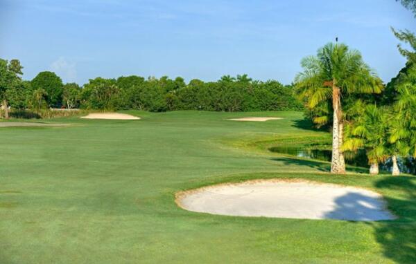 The Top South Florida Golf Courses: Everglade Golf Adventures