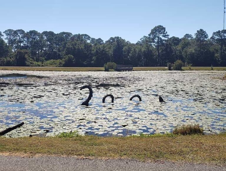 The Best Things to Do in Carrabelle Florida