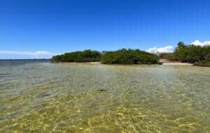 Durney Key: A Hidden Gem Of Pasco County, Florida - Brit On The Move™