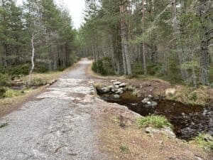 Scotlands Green Loch "An Lochan Uaine" In Glenmore Forest Near Aviemore