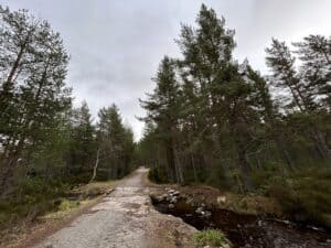 Scotlands Green Loch "An Lochan Uaine" In Glenmore Forest Near Aviemore