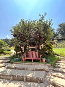 Hobbitenango: Unveiling the Magic of Guatemala's Hobbit Village