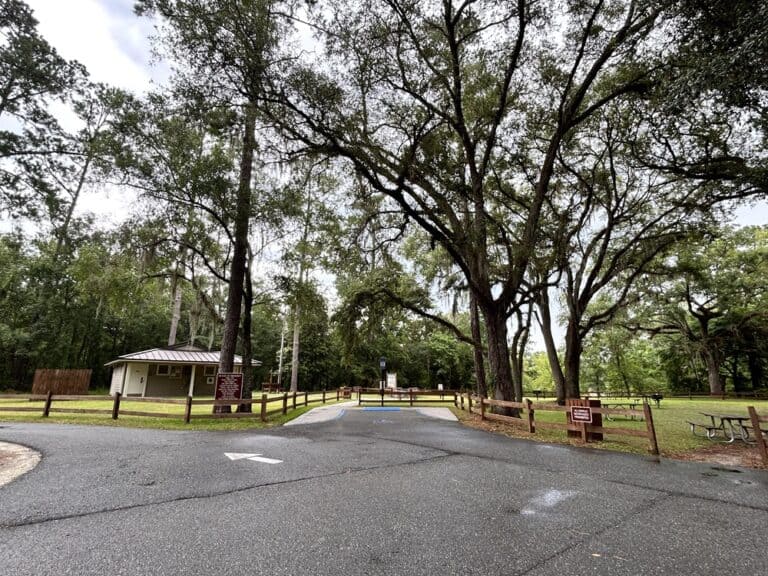 Troy Springs: A Guide To Florida's Stunning Natural Wonder - Brit On ...