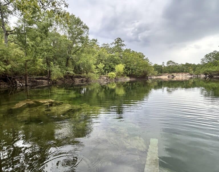 Troy Springs: A Guide To Florida's Stunning Natural Wonder - Brit On ...