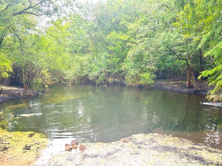 Ruth Spring Florida: A Treat for Spring Enthusiasts