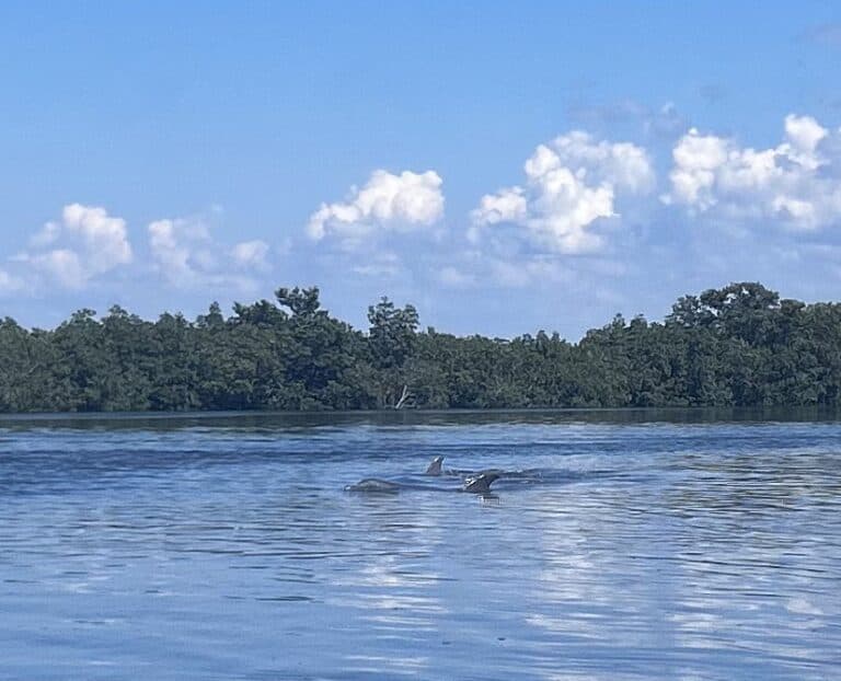 Explore Ozello Florida: One Of Florida's Last "Channel-Less" Coastal ...