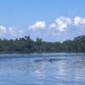 Explore Ozello Florida: One Of Florida's Last "Channel-Less" Coastal ...